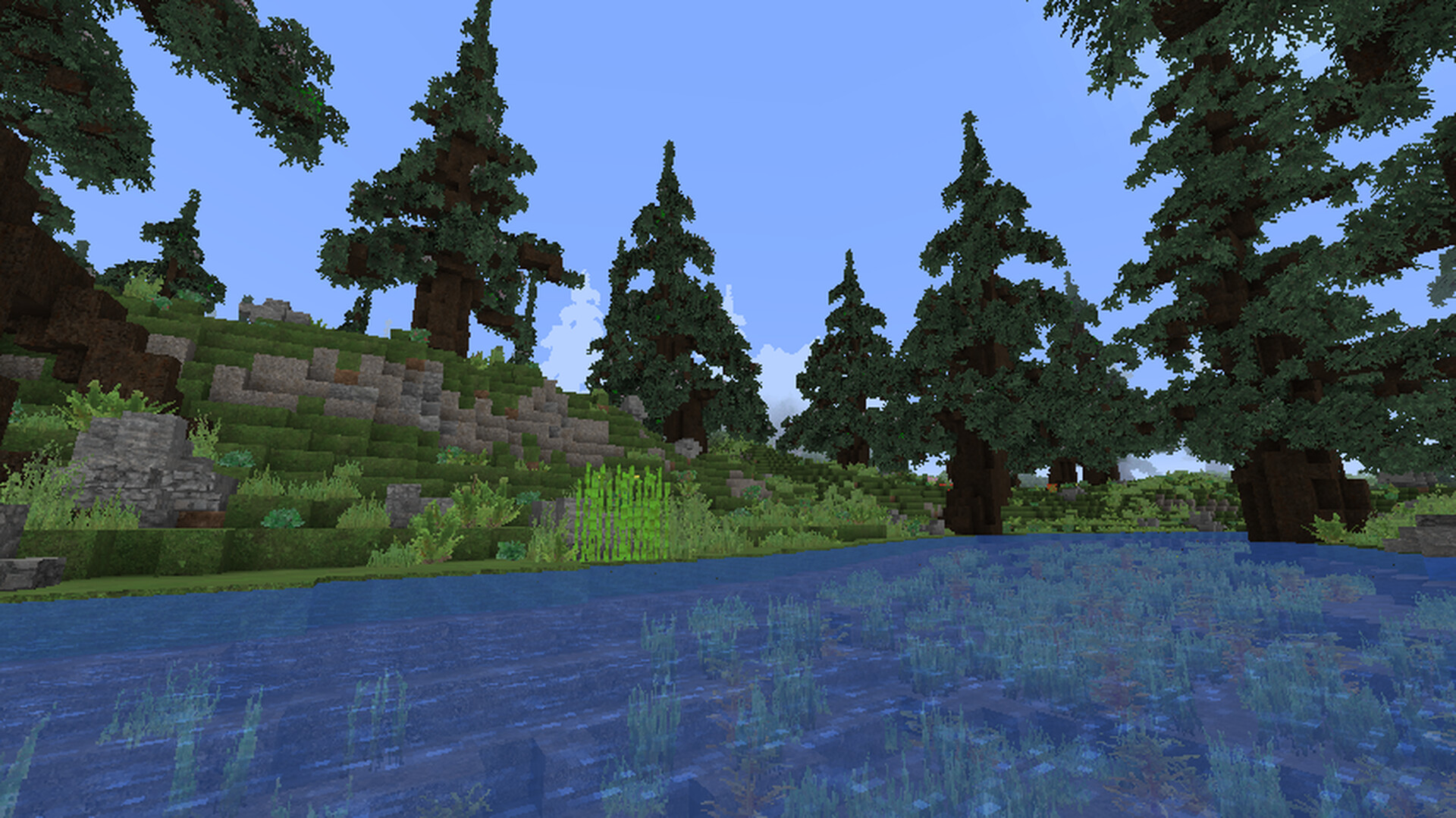 The Taiga River - 1,536 x 1,536 Map Minecraft Map