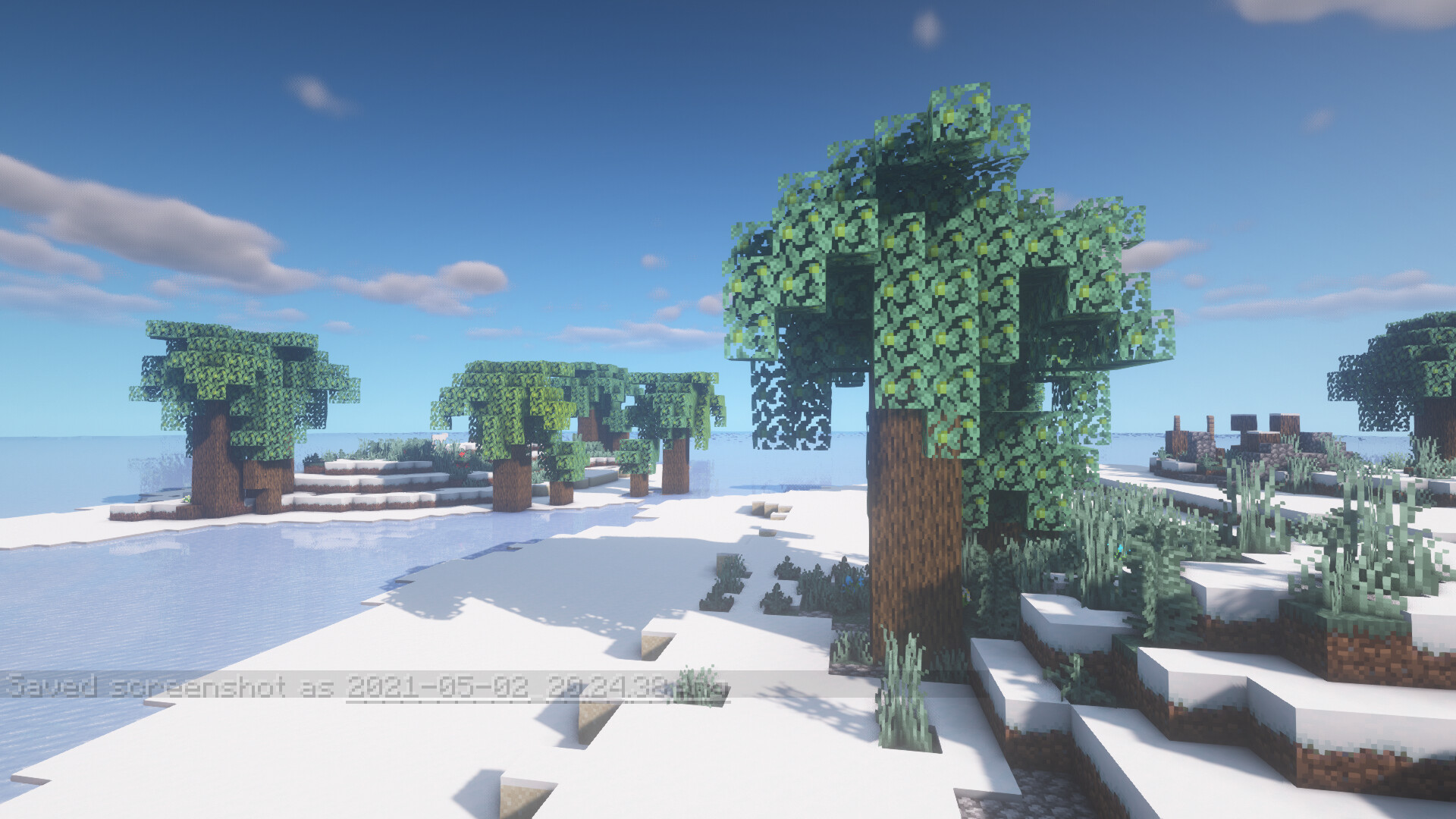 Farewell (Icey) [1.16.5 Island Survival Map] Minecraft Map