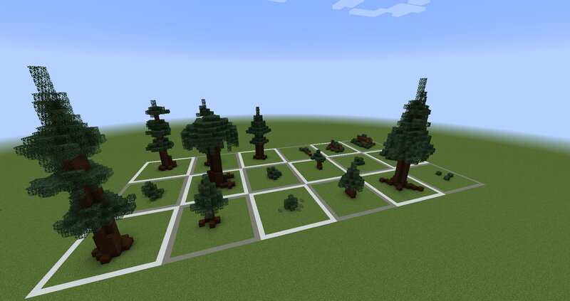 Spruce Tree pack Minecraft Map