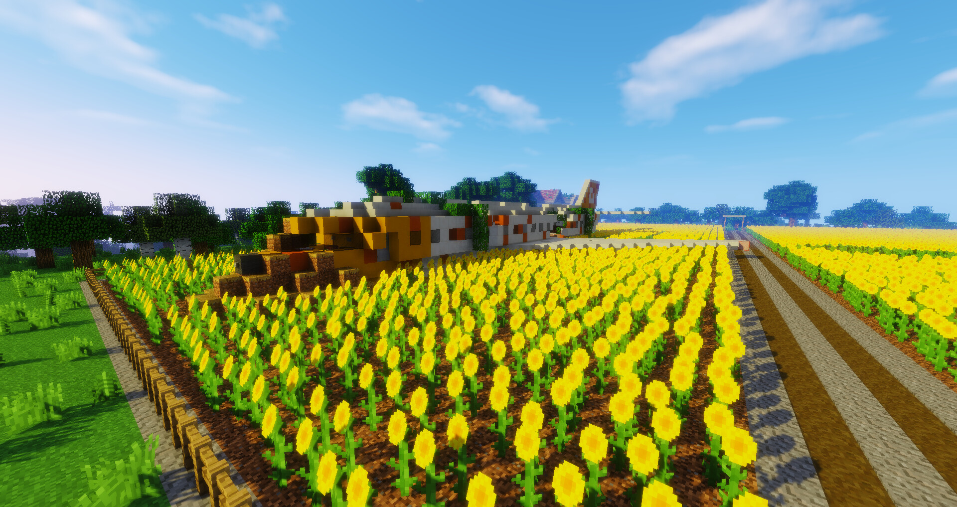 Survive Brode Minecraft Map