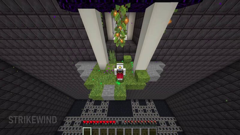 BUILD TO THE OTHER SIDE 🧱 Challenging Puzzle Map 1.17.1 🧩 Minecraft Map