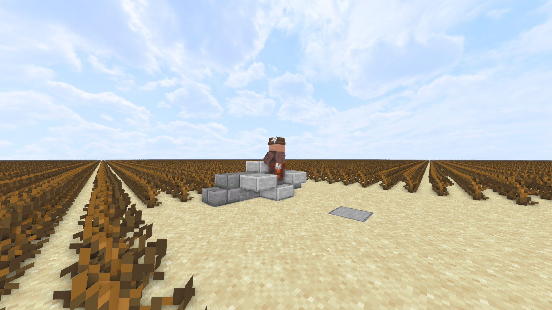 Deadbush Lands! Survival Challange (1.16.4 version) Minecraft Map