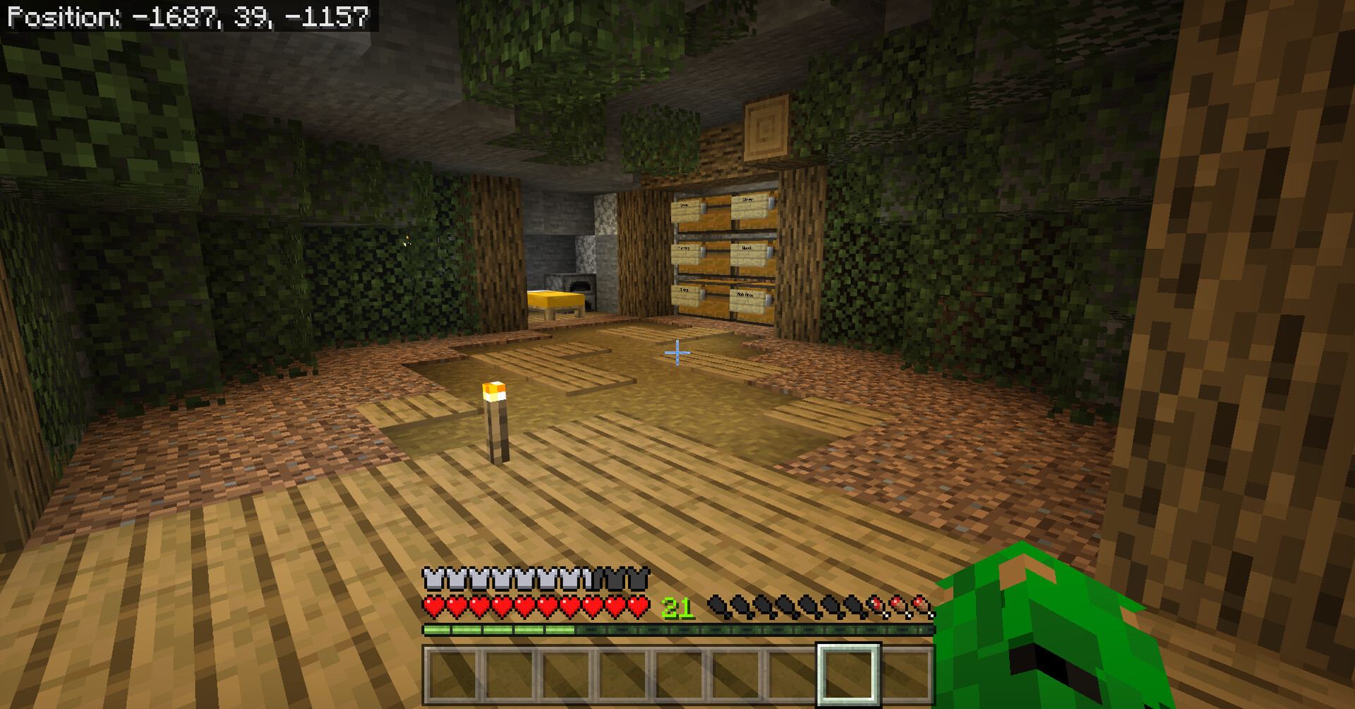 1.18 Survival World Minecraft Map