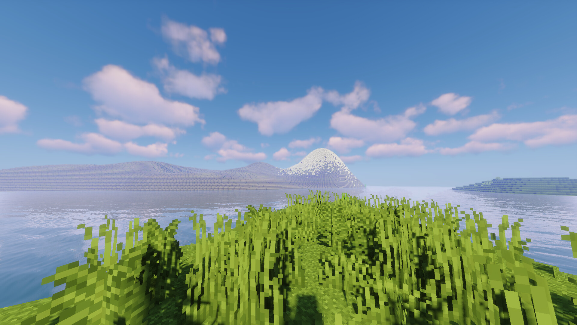 Backdrop Map by SilicoCXI (WorldPainter) Minecraft Map