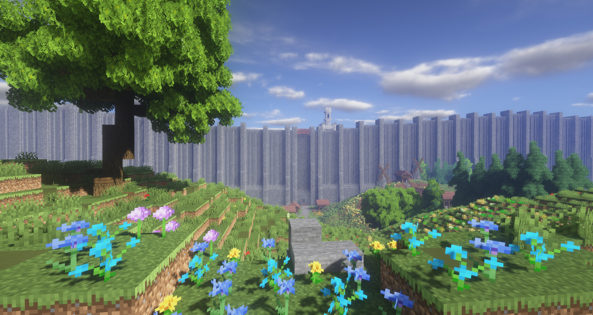 ⚜️Attack on Titan: Shiganshina MAP! DOWNLOAD !! Minecraft Map