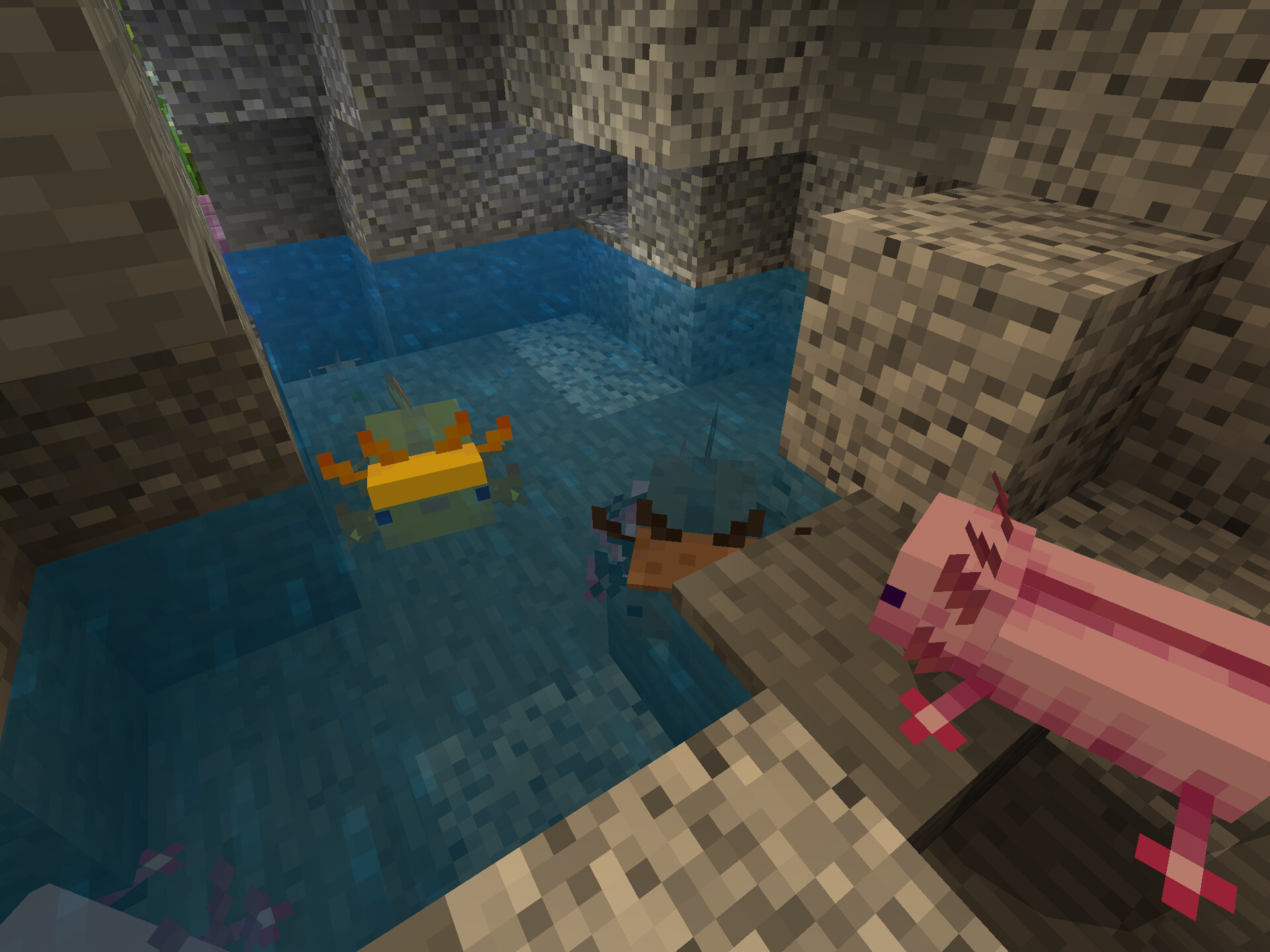 The Secret Cave [C] Minecraft Map