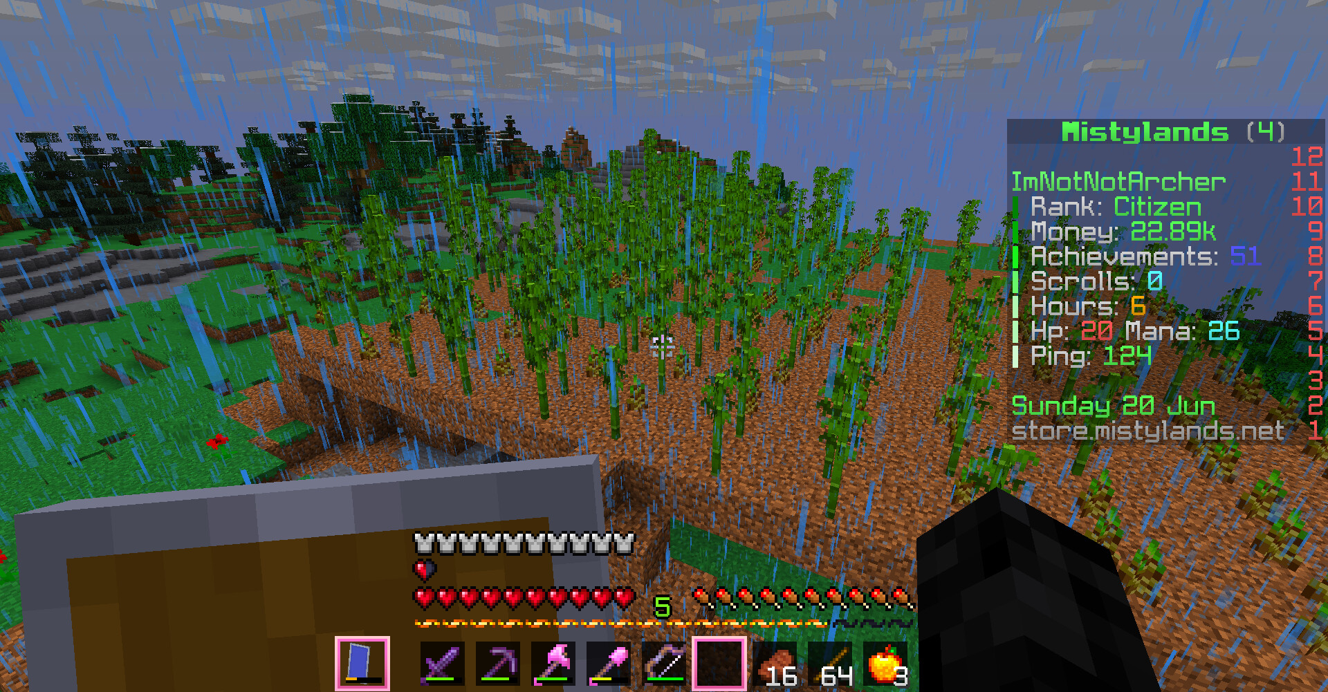 Giant Bamboo Farm Minecraft Map