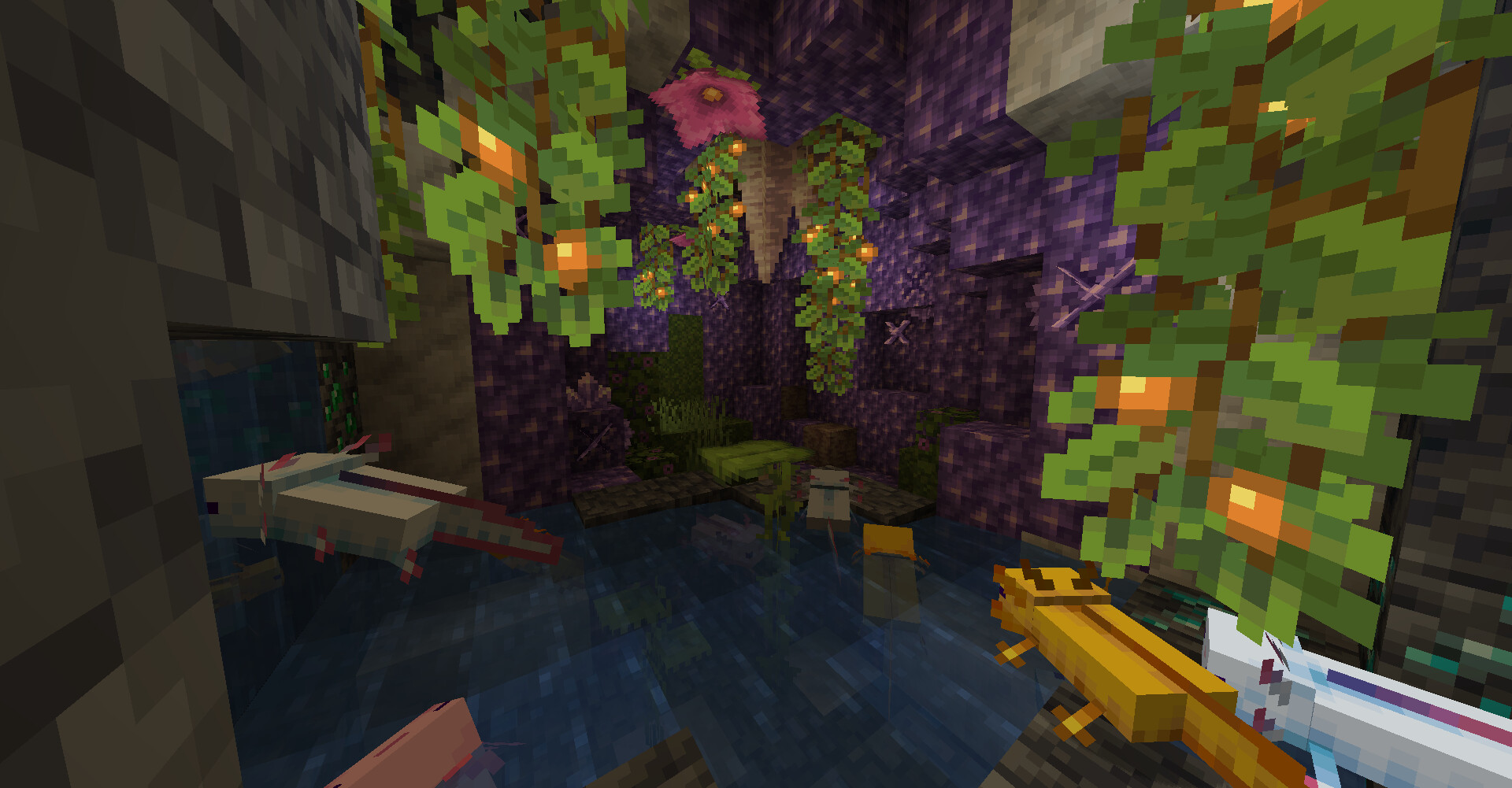 mini bioma Minecraft Map