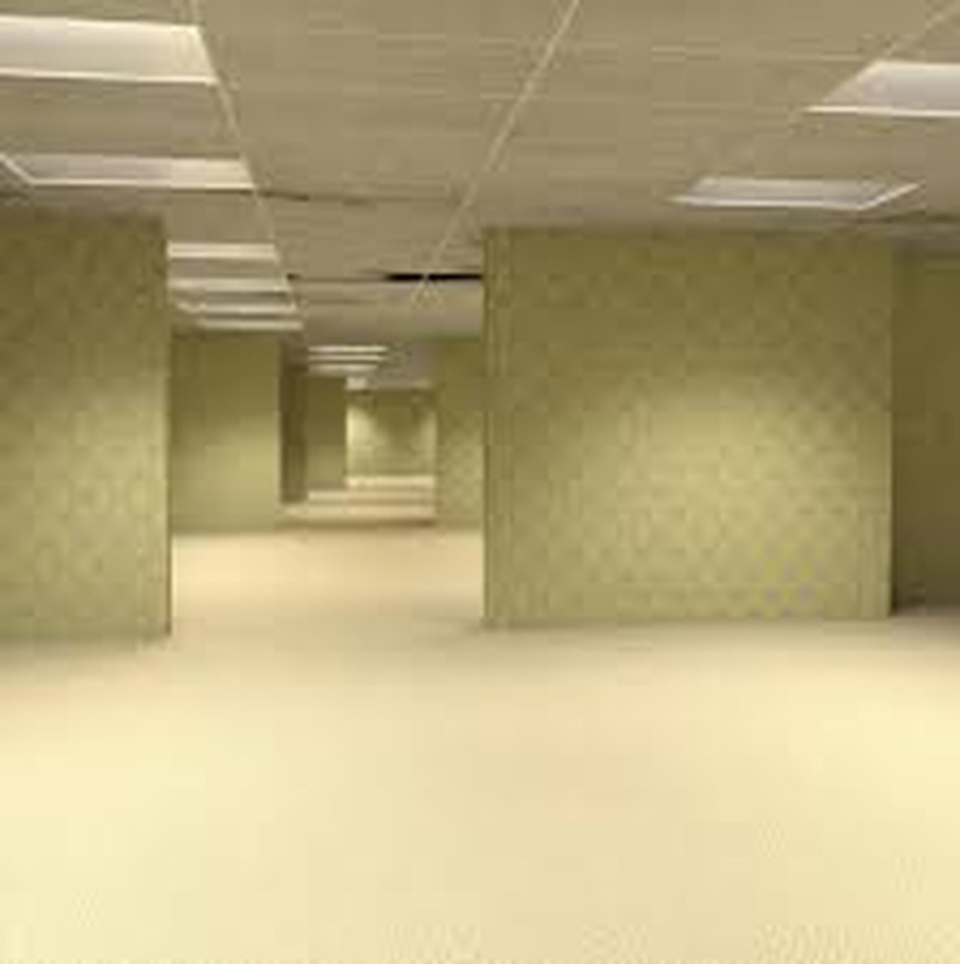 BackRooms Minecraft Map