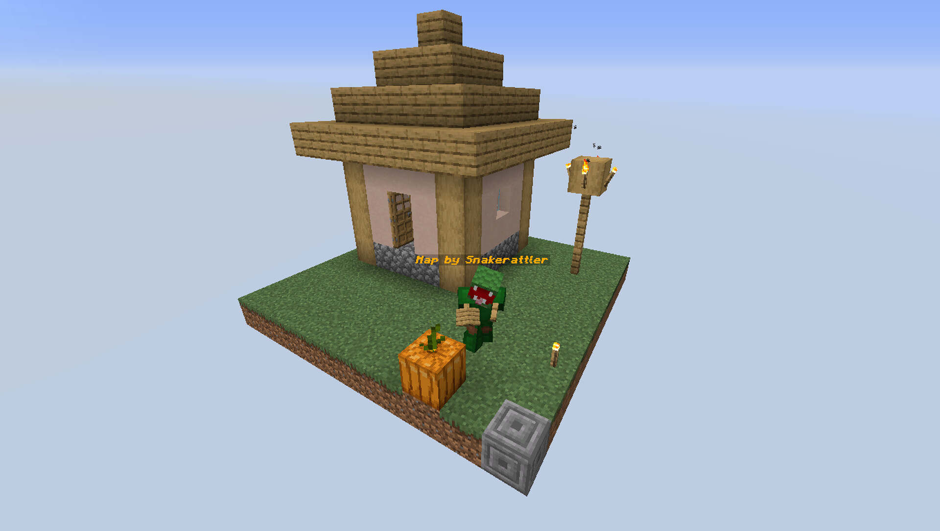 Platform Minecraft Map