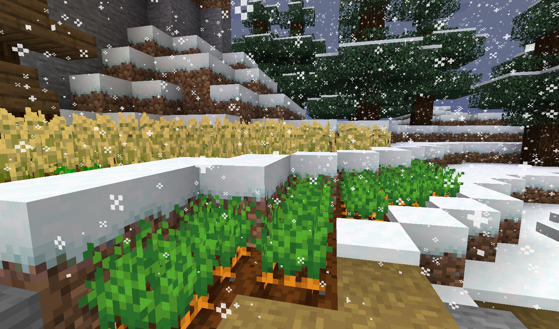 Igloo Survival base! Minecraft Map