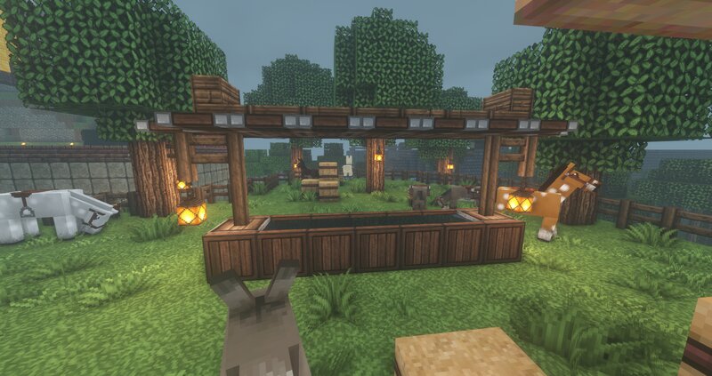 Water Trough Collection Minecraft Map
