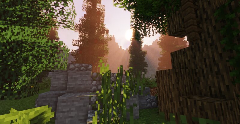 Woods in the Hills Minecraft Map