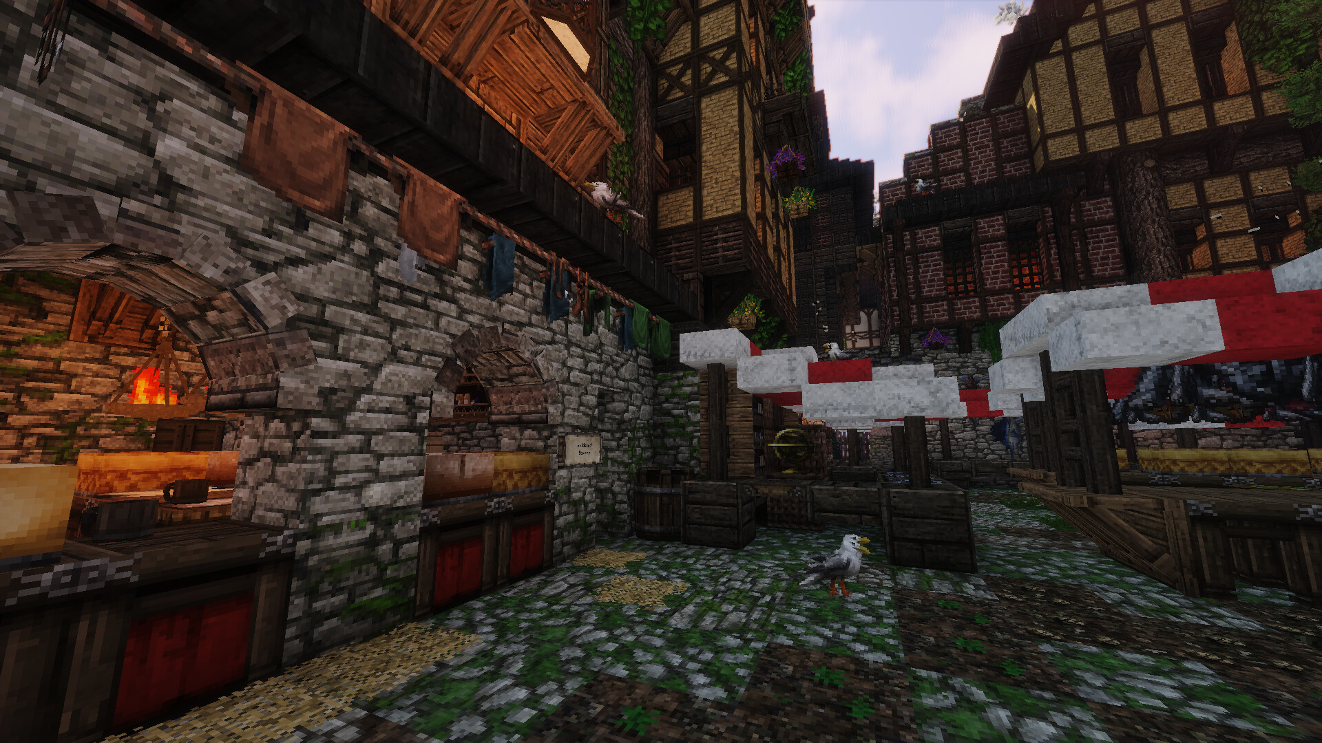 Medieval Srvival | Conquest 1.10 Minecraft Map