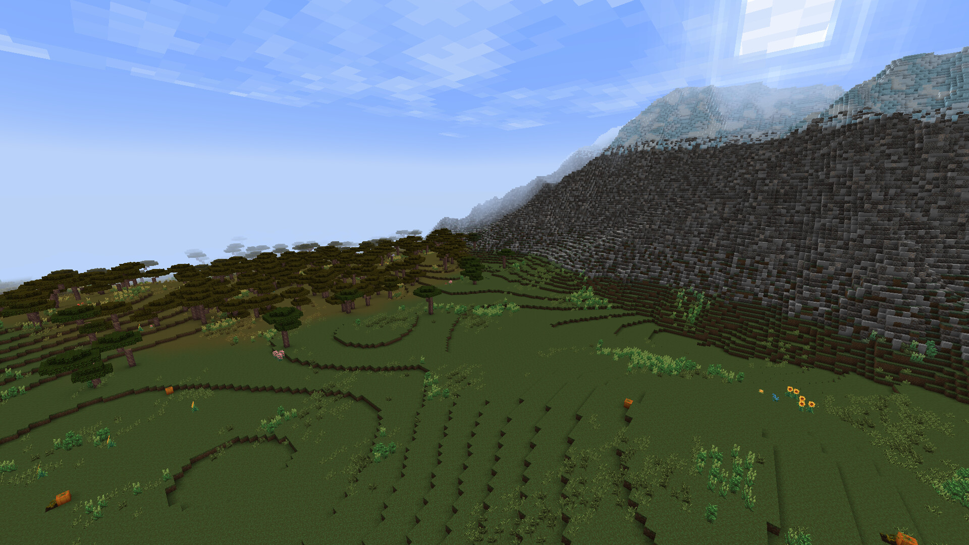 Forsena (custom biome diverse island download) Minecraft Map