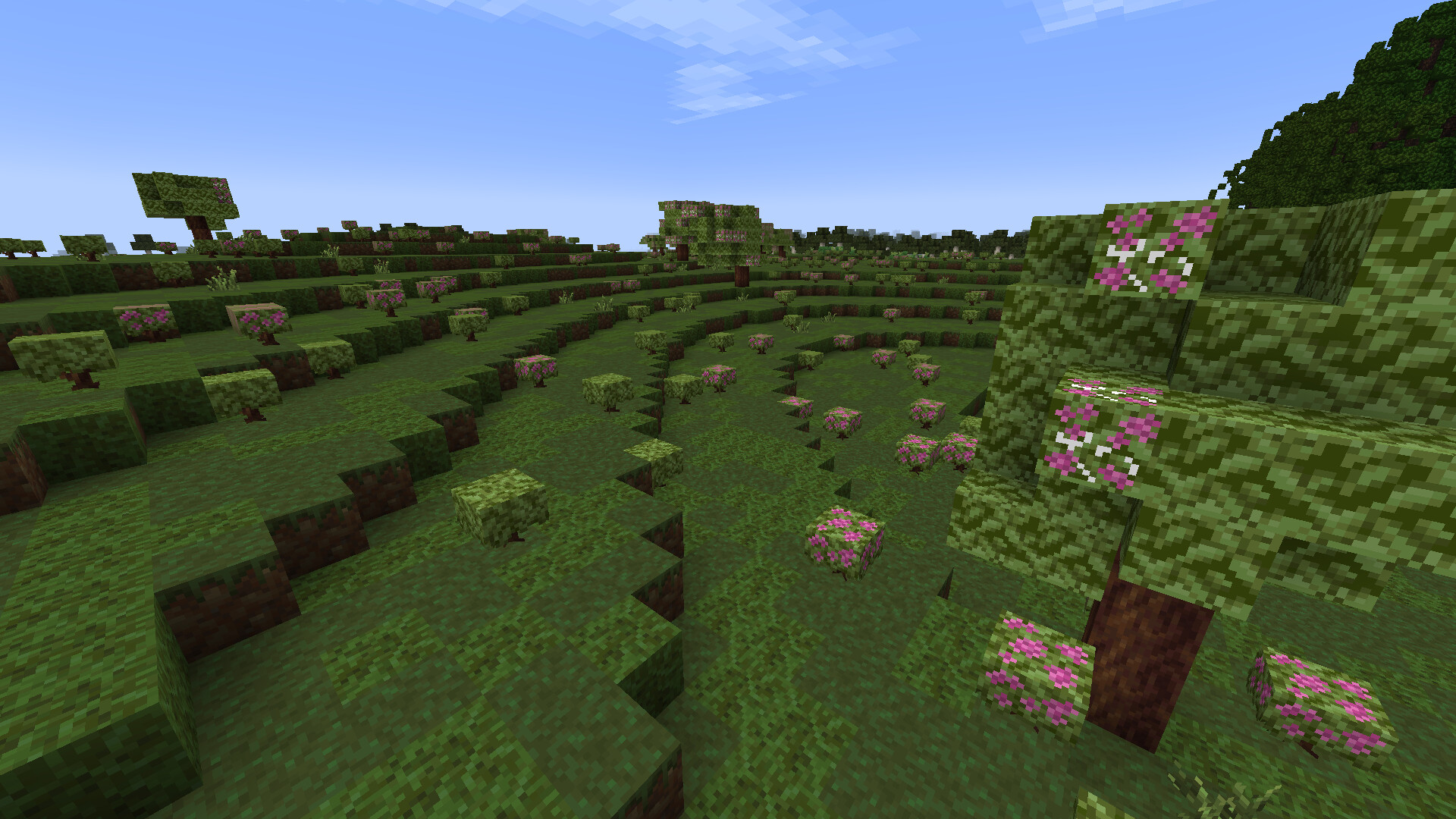 Forsena (custom biome diverse island download) Minecraft Map