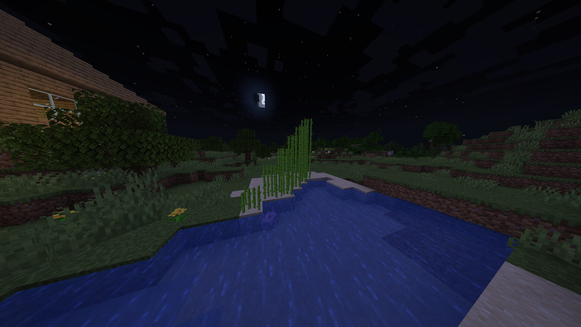 Survival Starter Base | Plains Minecraft Map