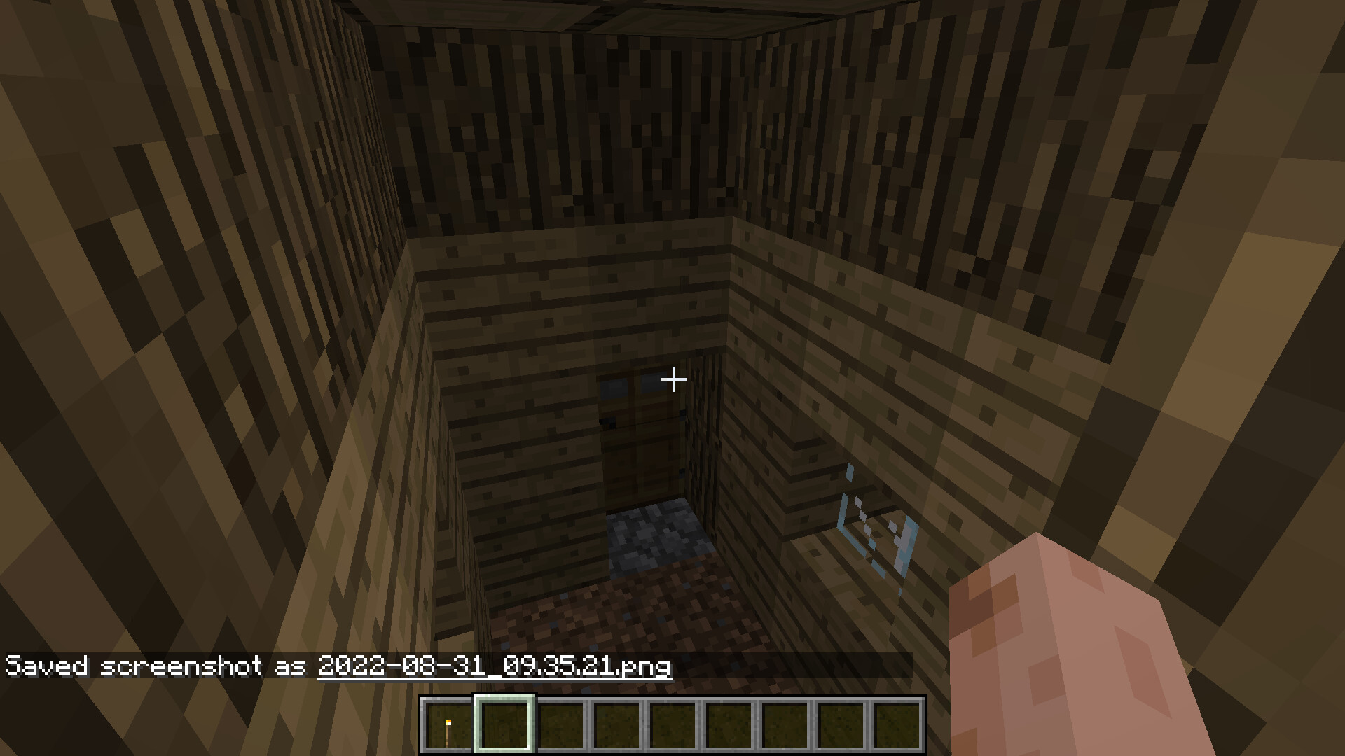 Cursed Seed: 0 Minecraft Map