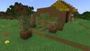 My Homestead Minecraft Map