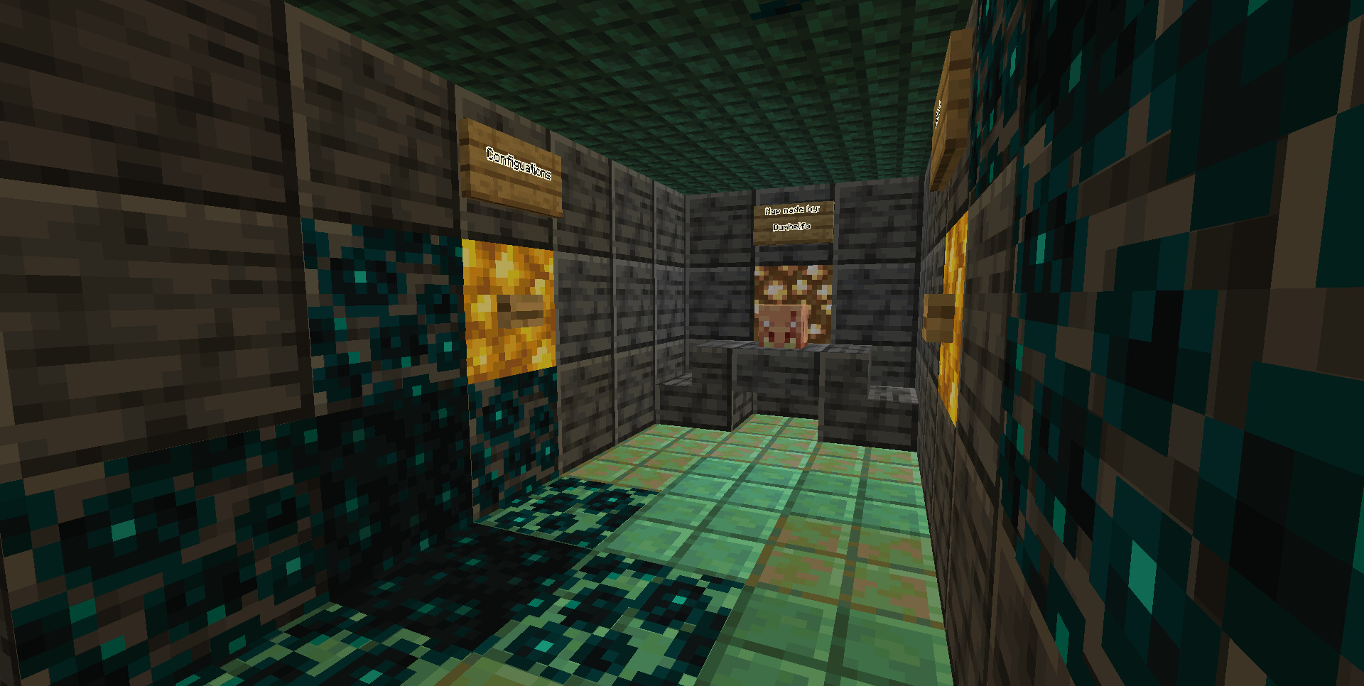 Warden Playroom Minecraft Map