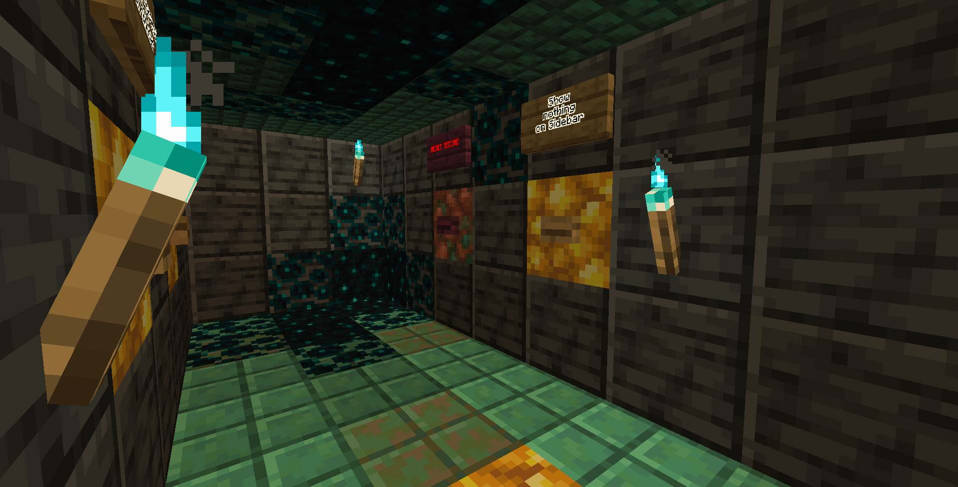 Warden Playroom Minecraft Map