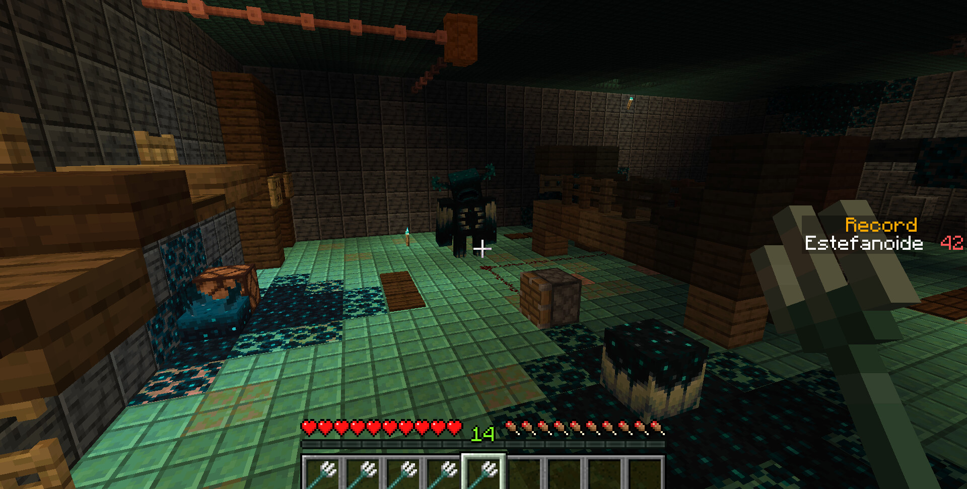 Warden Playroom Minecraft Map