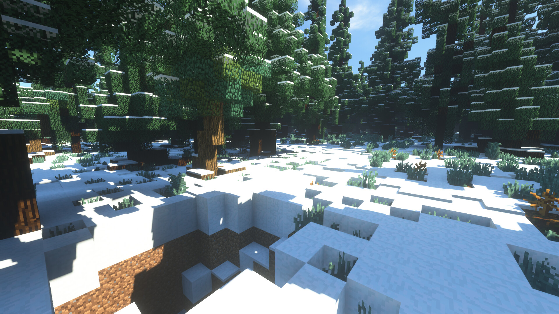 Forest Isle (1.18+) Minecraft Map