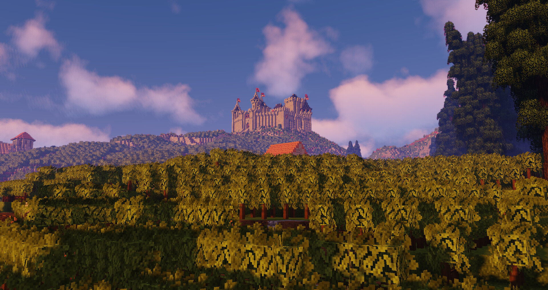 Medieval Vineyard (Alenvins project) Minecraft Map