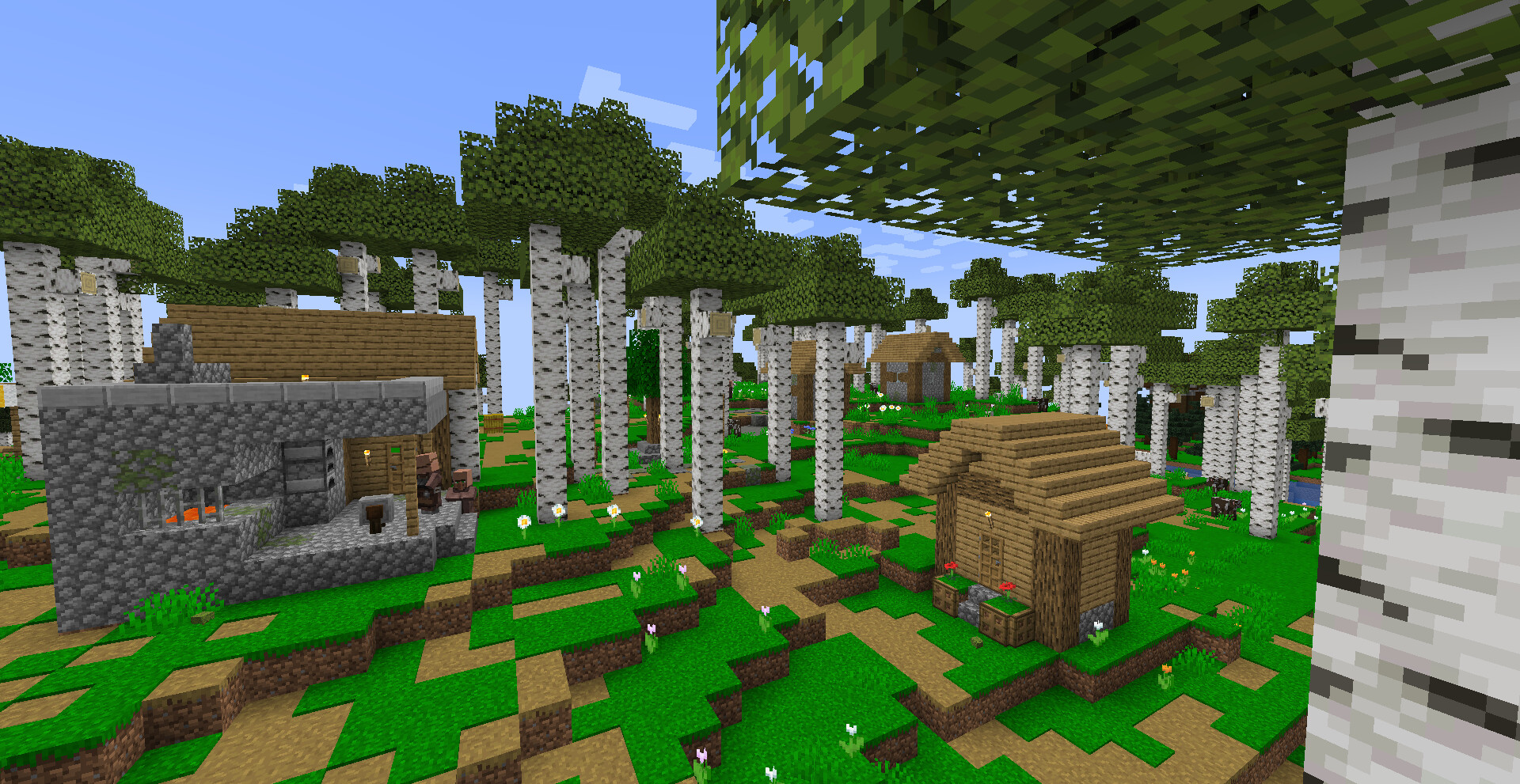 Good biome Minecraft Map