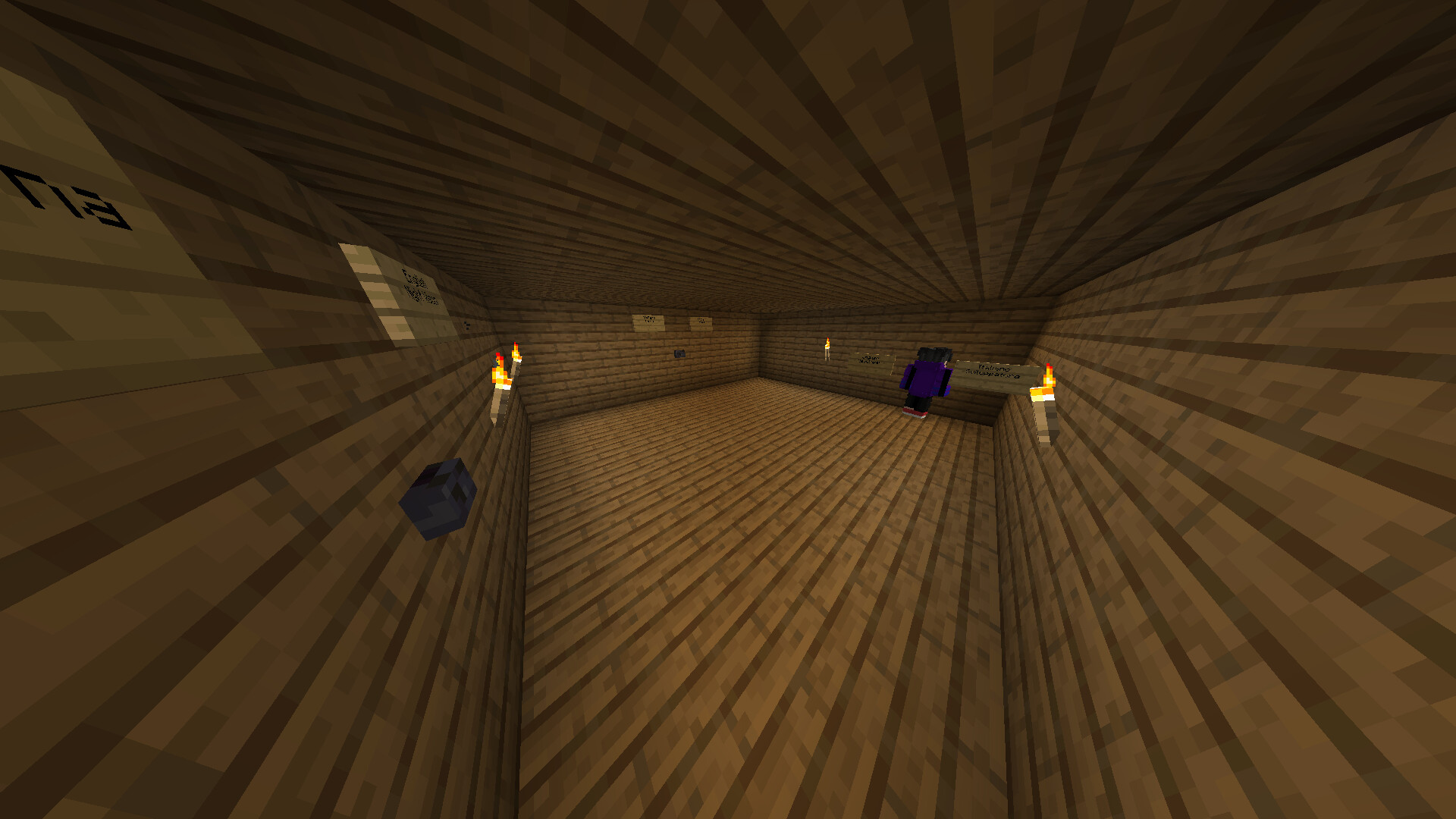 ShadowMap looking for stef Minecraft Map