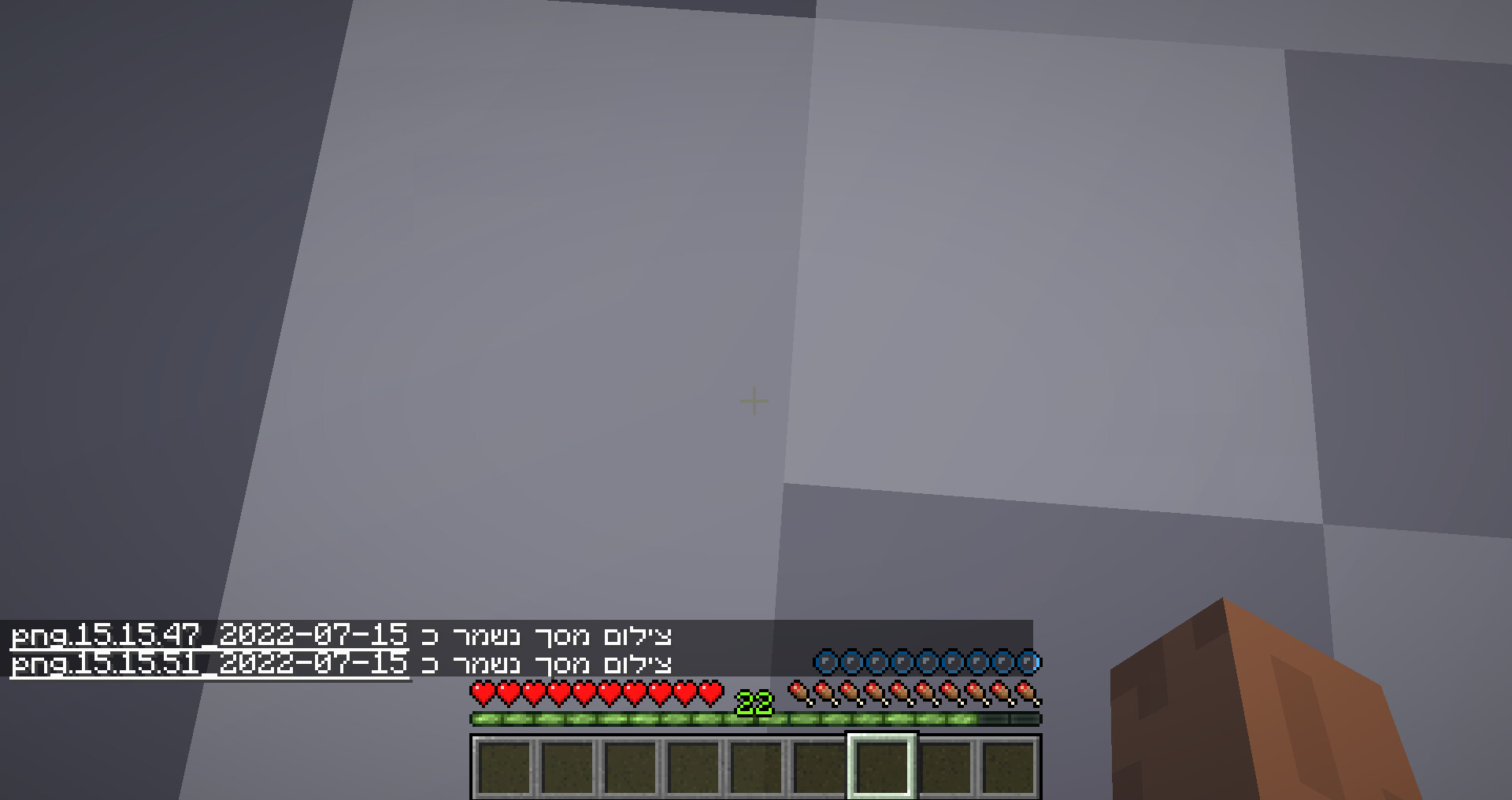 Secret base inside a village Minecraft Map