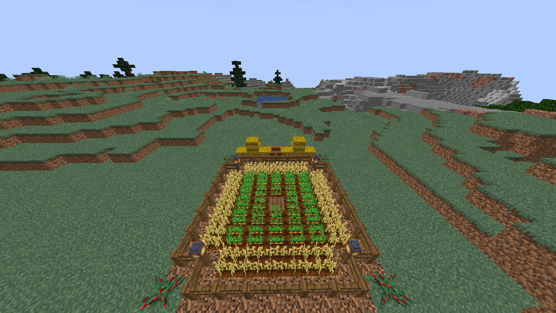 Liam SMP Minecraft Map