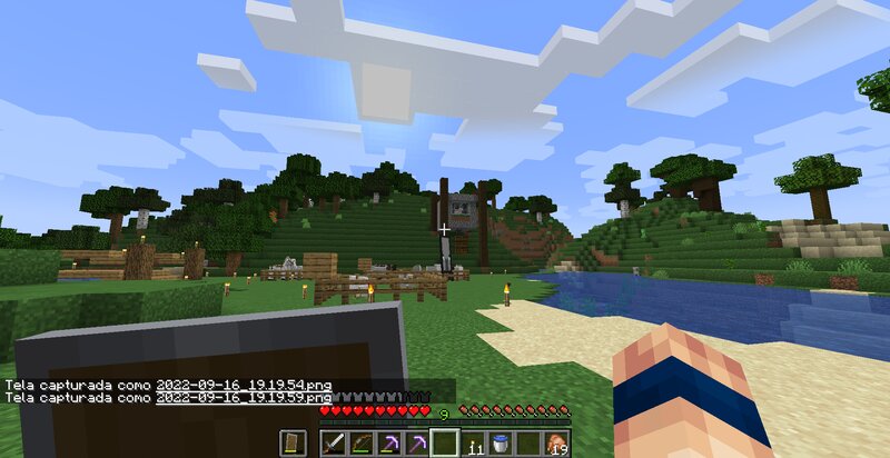 My survival world 1.17.1 Hard PT/BR Minecraft Map