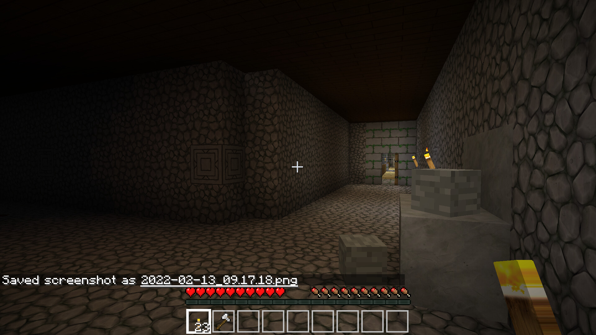 Minecraft_Amnesia [1.16.5] v0.4 Minecraft Map