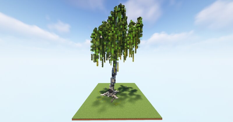 A Tall Birch Tree! l Free to Use! Minecraft Map