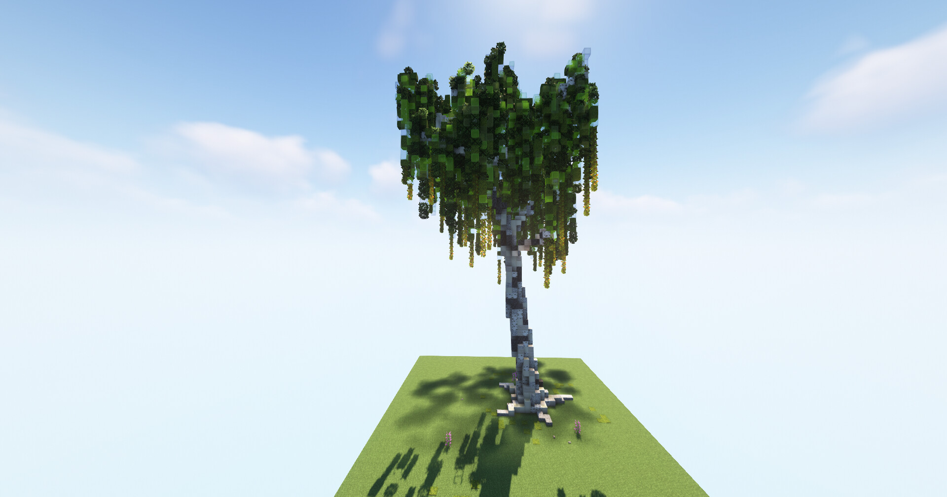 A Tall Birch Tree! l Free to Use! Minecraft Map