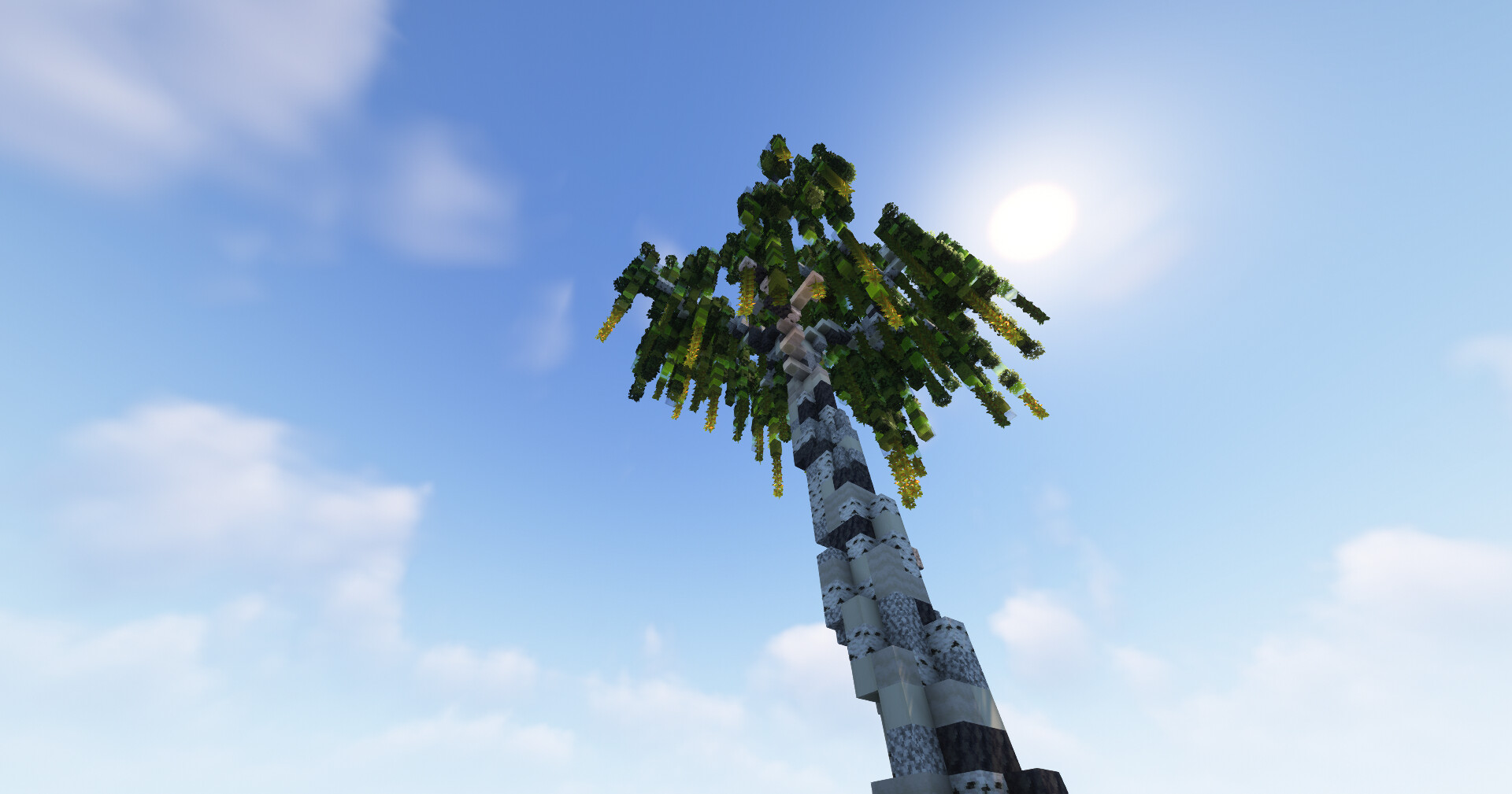 A Tall Birch Tree! l Free to Use! Minecraft Map