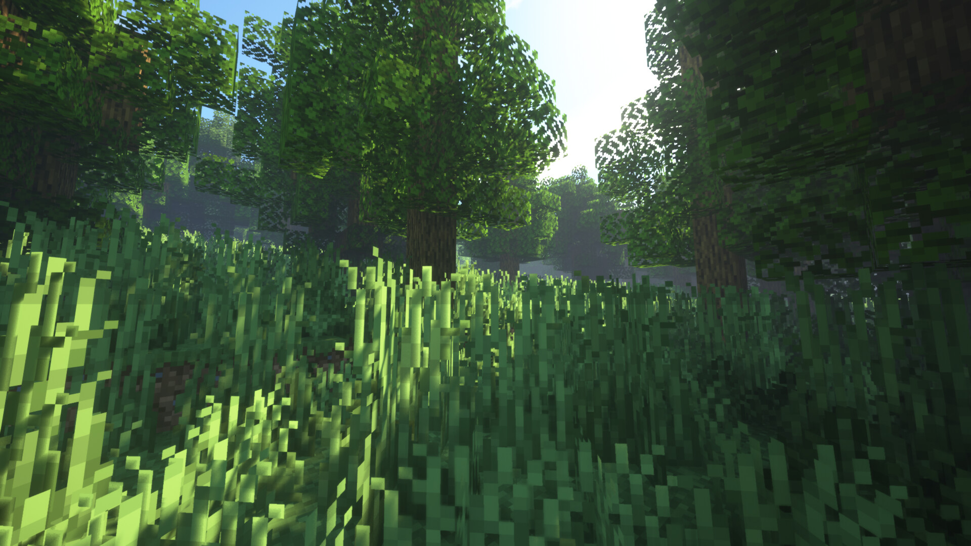 Simple Custom Natural Island (no caves for now) | 1.17.x - 1.19.x ...