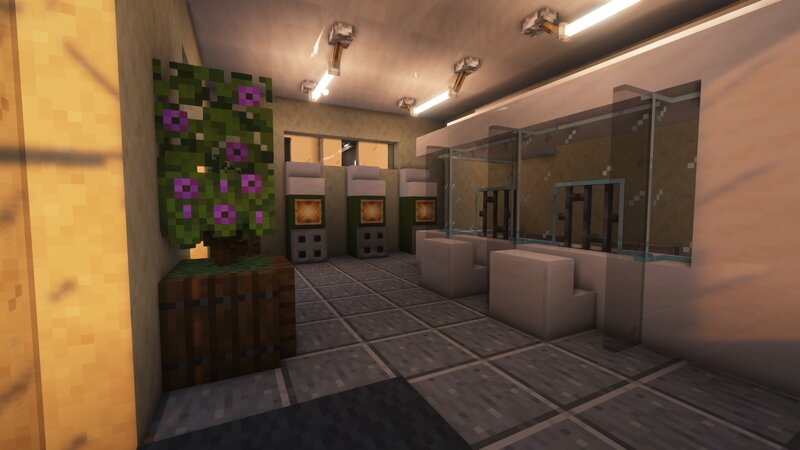 Bank Minecraft Map