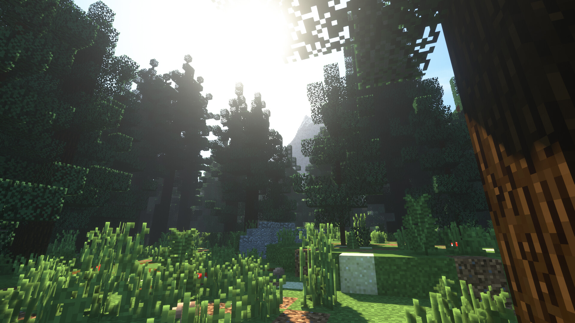 Eye of the Earth (3k) Minecraft Map