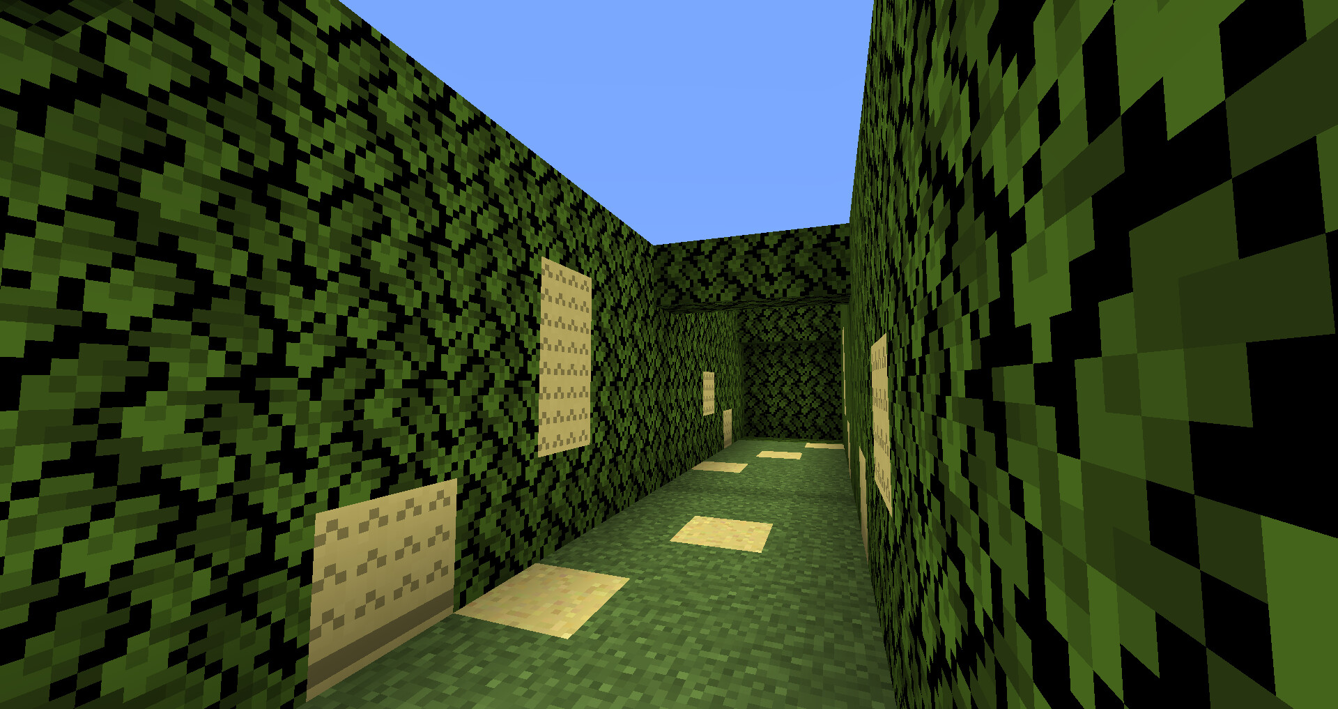 The Backrooms Minecraft Map