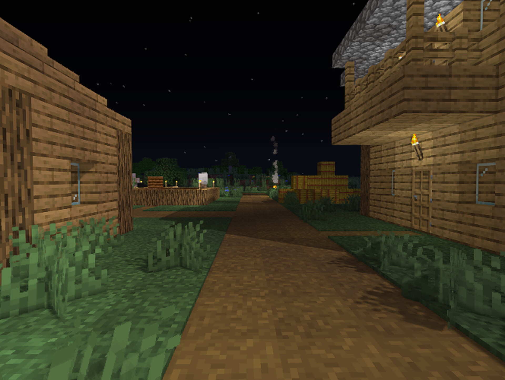 Small village Minecraft Map