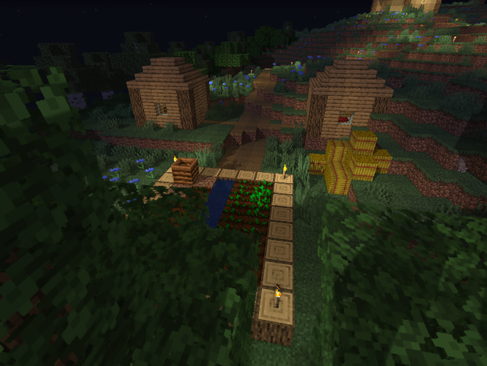 Small village Minecraft Map