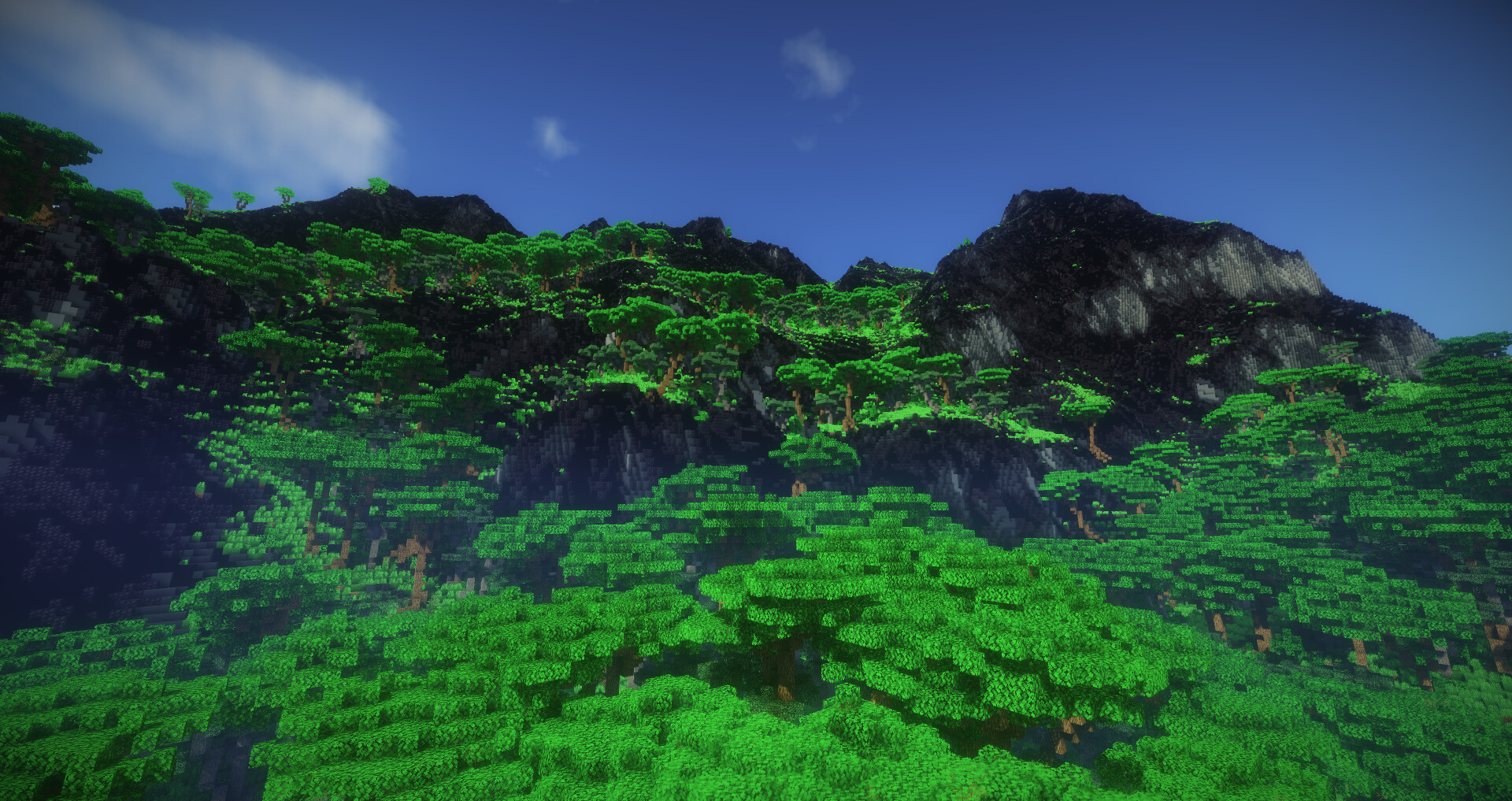 Jungle Map (3,700 x 512 x 3,700) 1.17.1 Minecraft Map