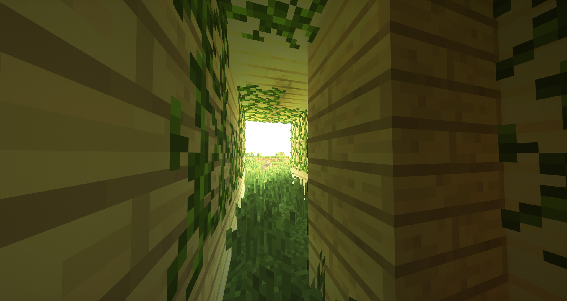 secret seed map minecraft 1.12.2 Minecraft Map
