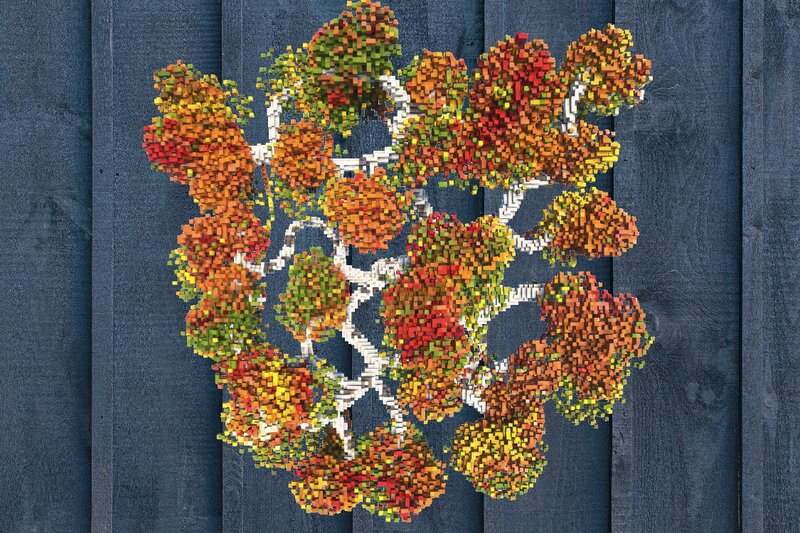 A Giant Birch Tree l Free To Use! Minecraft Map