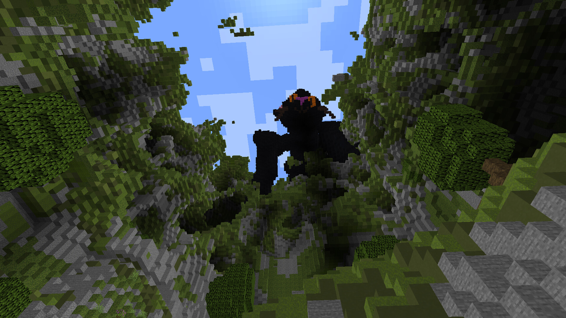 the Cat Tunnel Minecraft Map