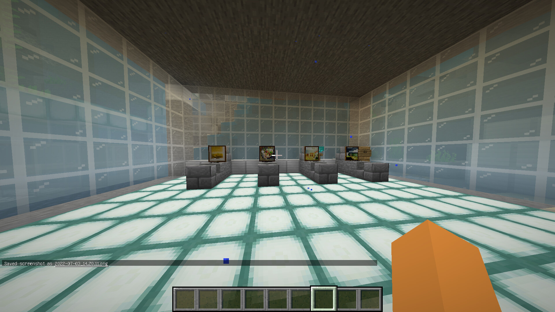 THE MEG Minecraft Map