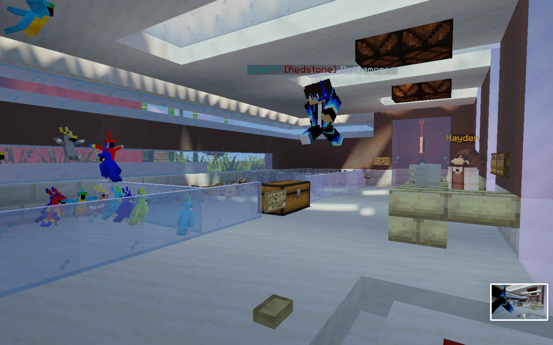 The pet shop! Minecraft Map