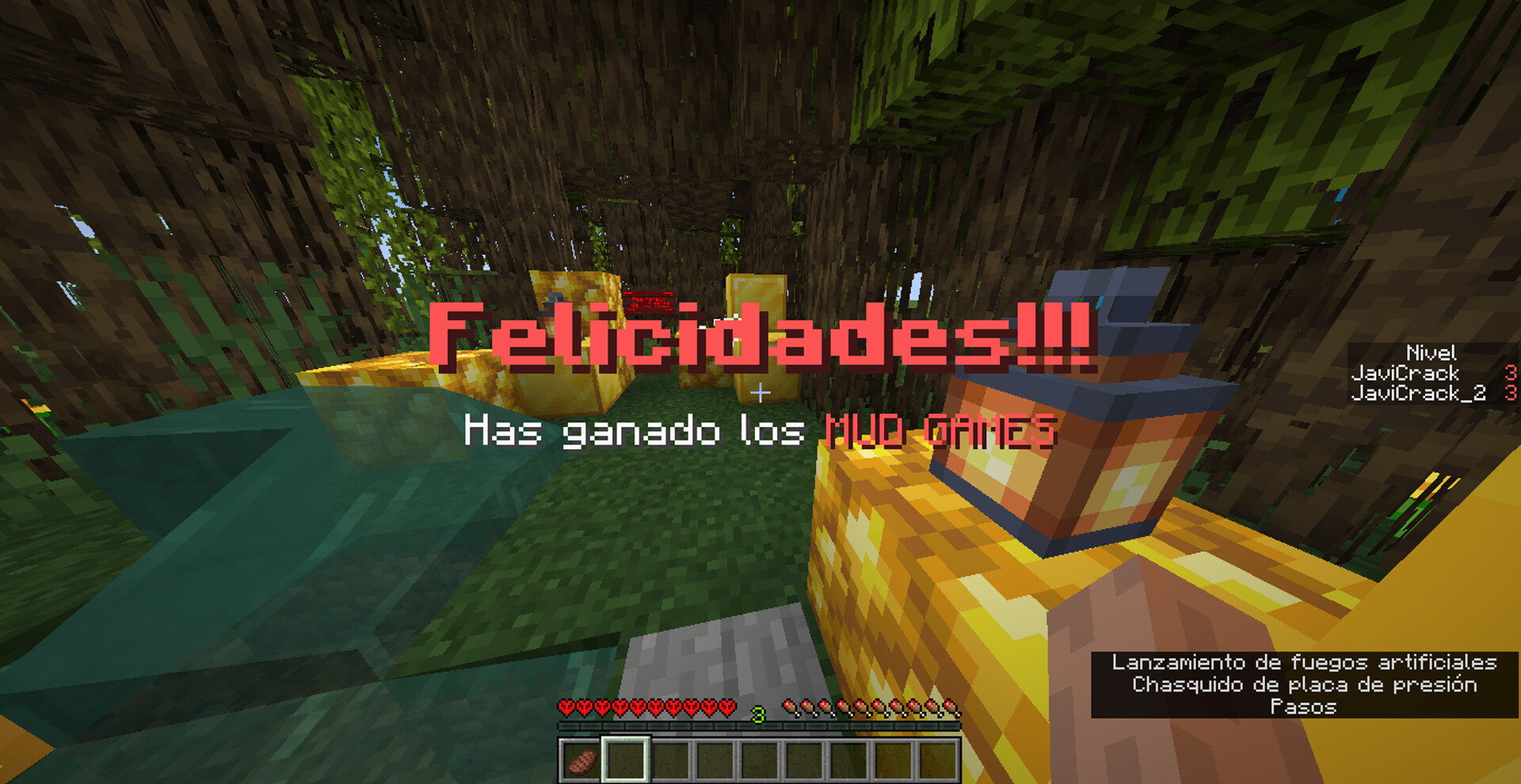 Mud Games Minecraft Map